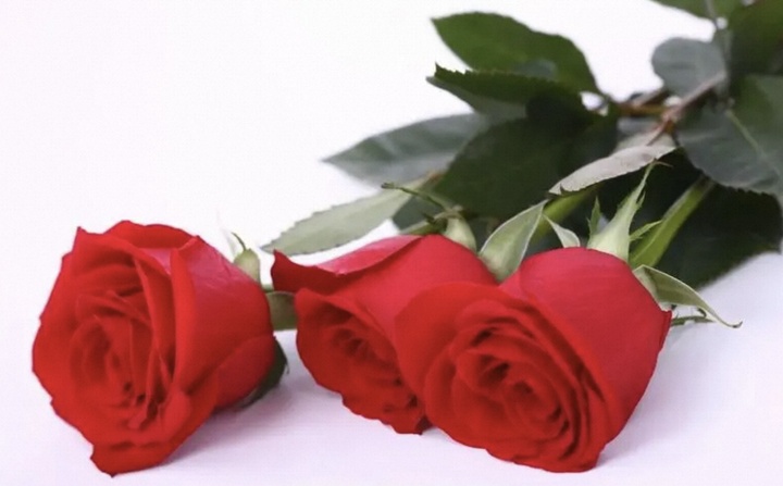 internVL2-8b使用openai API方式调用无法识别图片 · Issue #1406 · modelscope/ms-swift · GitHub